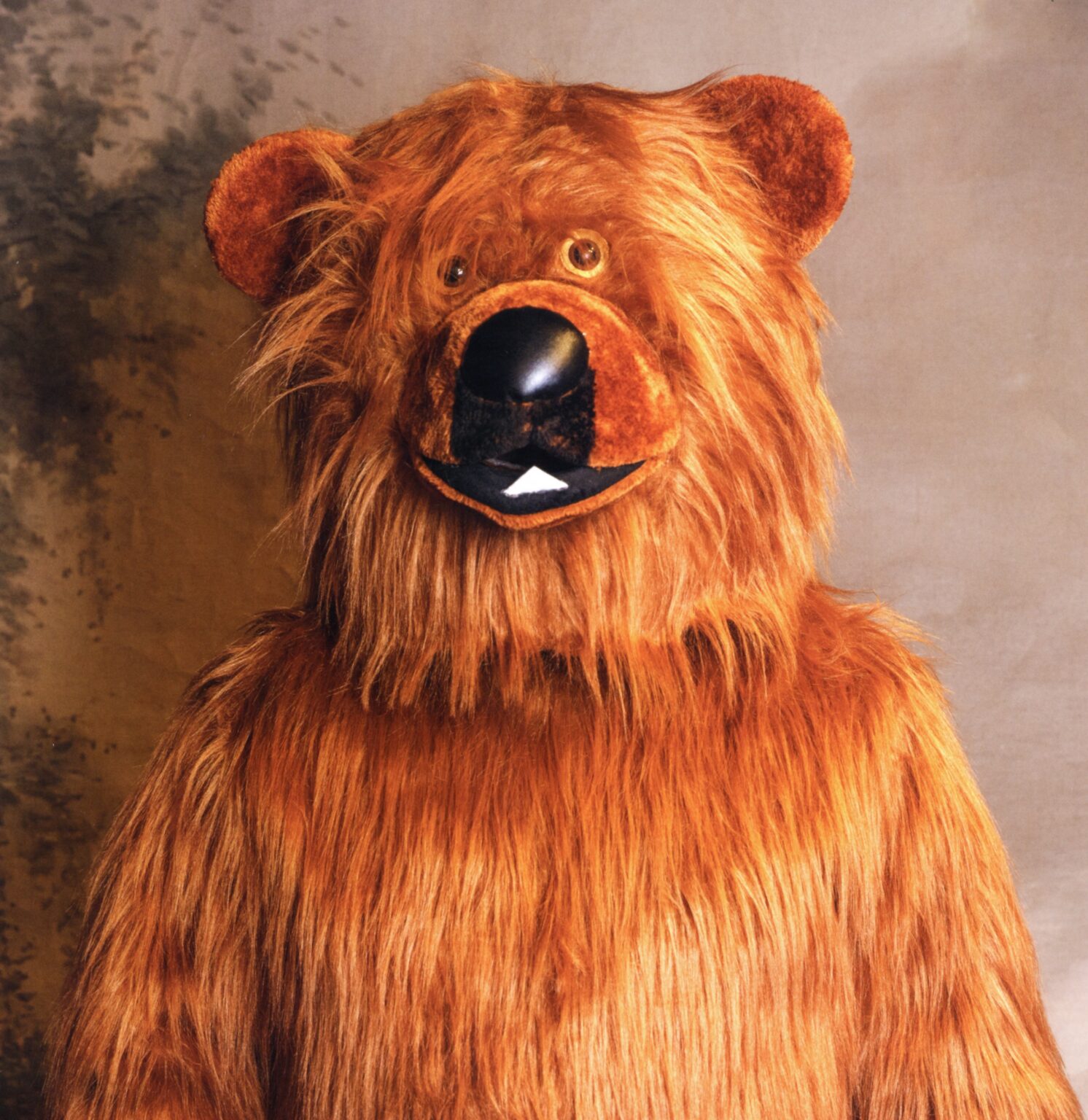 Matthew Cowan and Laitakaupungin orkesteri: Wildness Makes This World ...